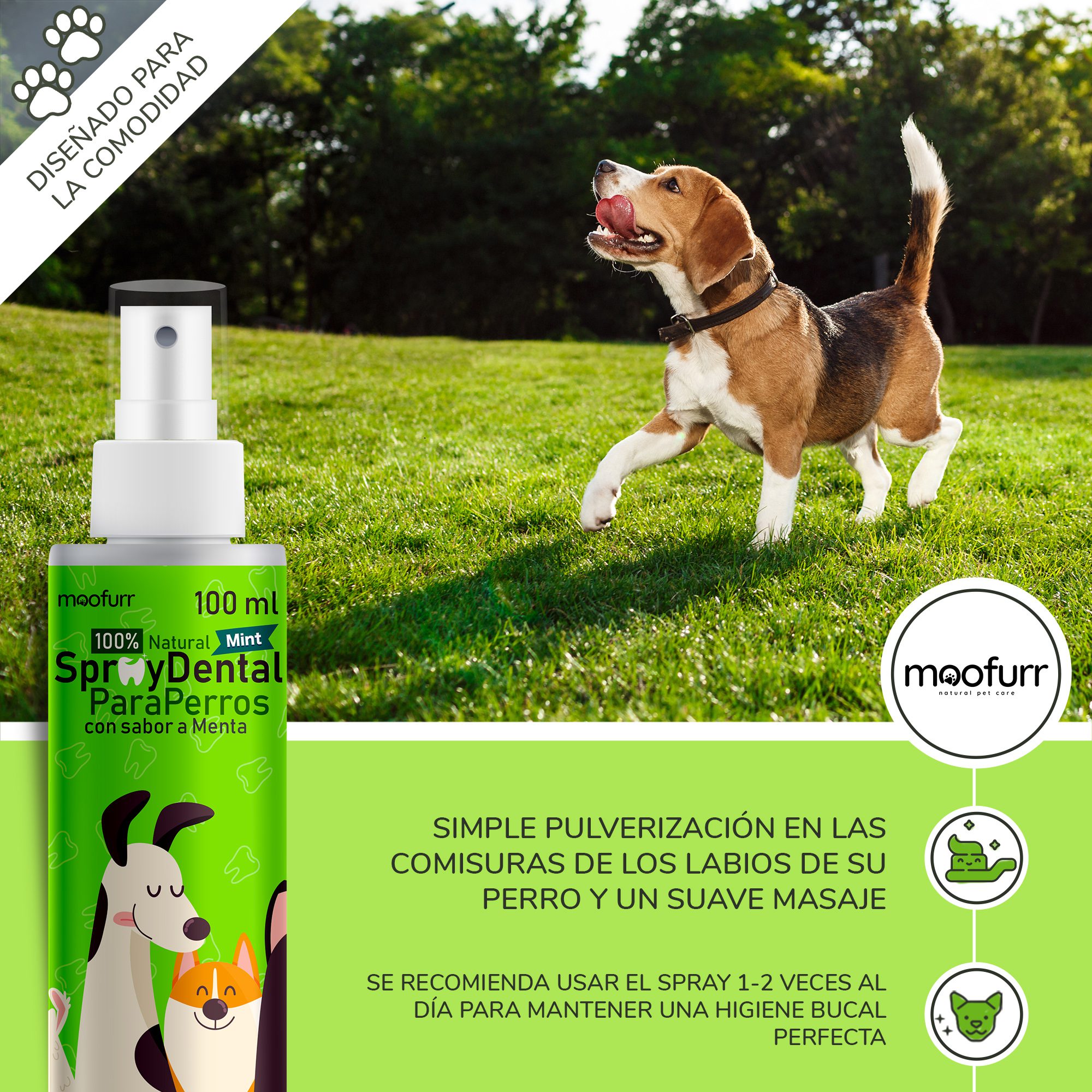 Spray dental natural para perros con sabor a menta Moofurr